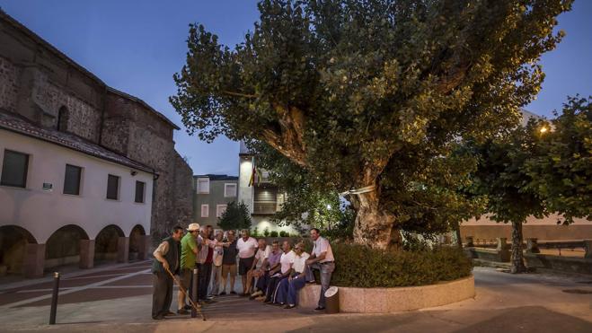 Sorzano se reparte el agua bajo el chopo | La Rioja